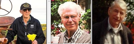 "Floral Legacy Blooms: A Comprehensive History of the Commercial Flower ...